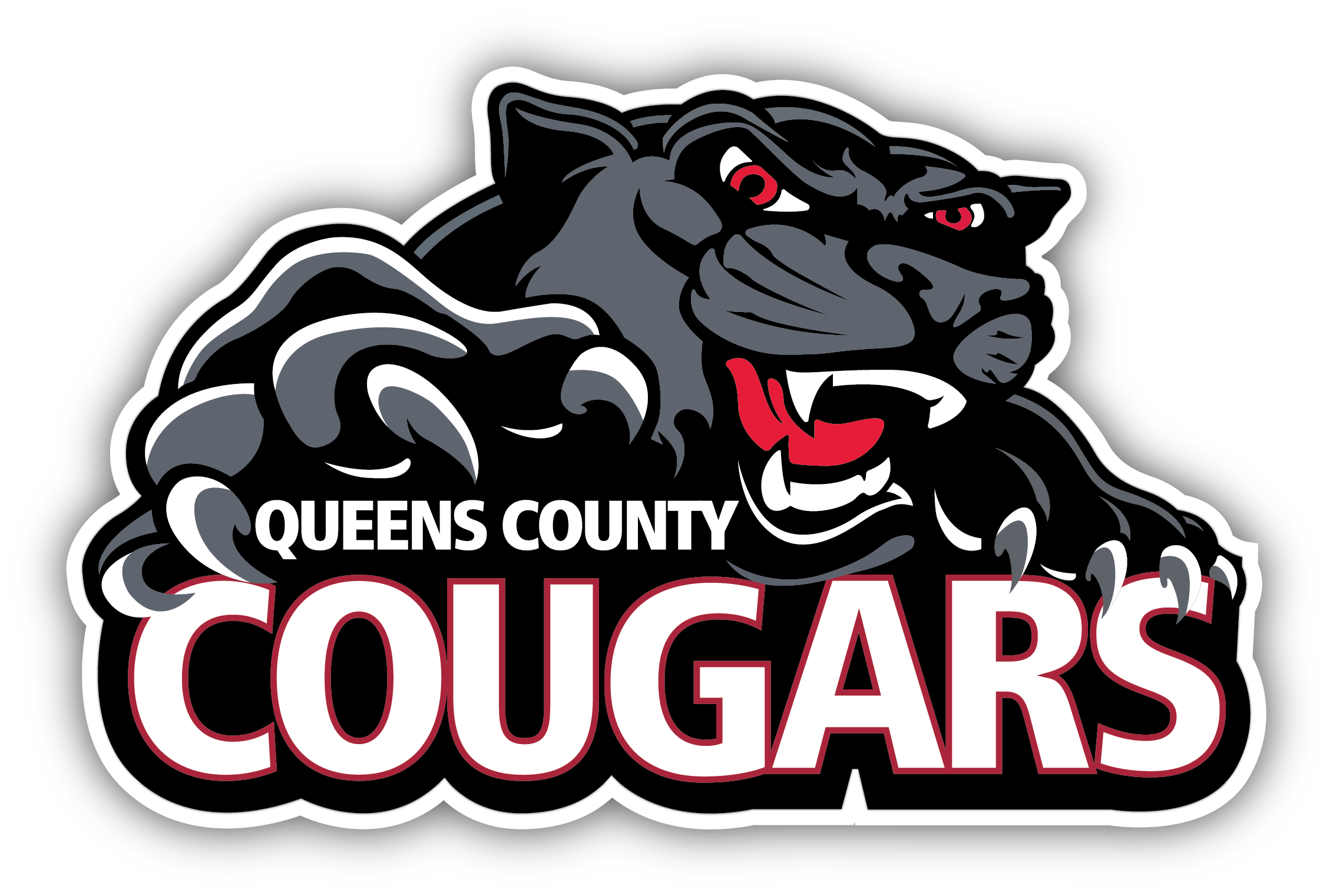 Queens County Minor Hockey Association